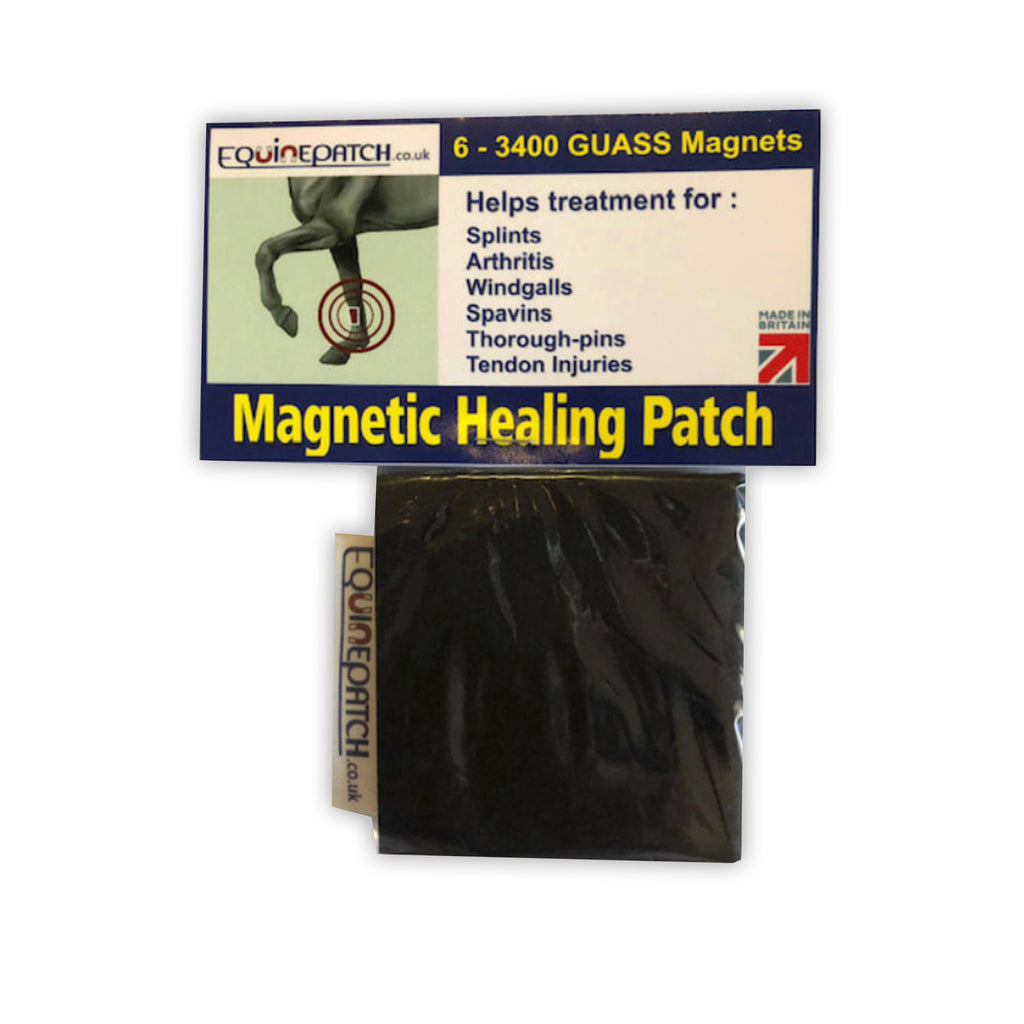 'EquinePatch' Magnetic Therapy – MP Gloss