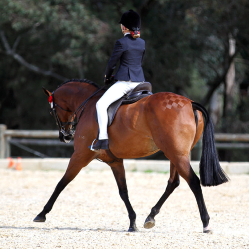 MP Show Day Starter Pack – MP Gloss